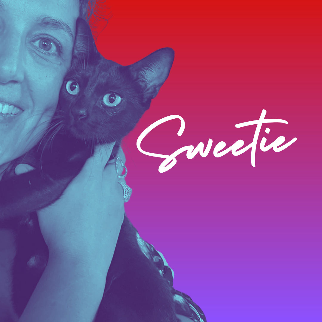 The Kona and Orange Boy Operation Aloha Cat Flight - Good Cat Network