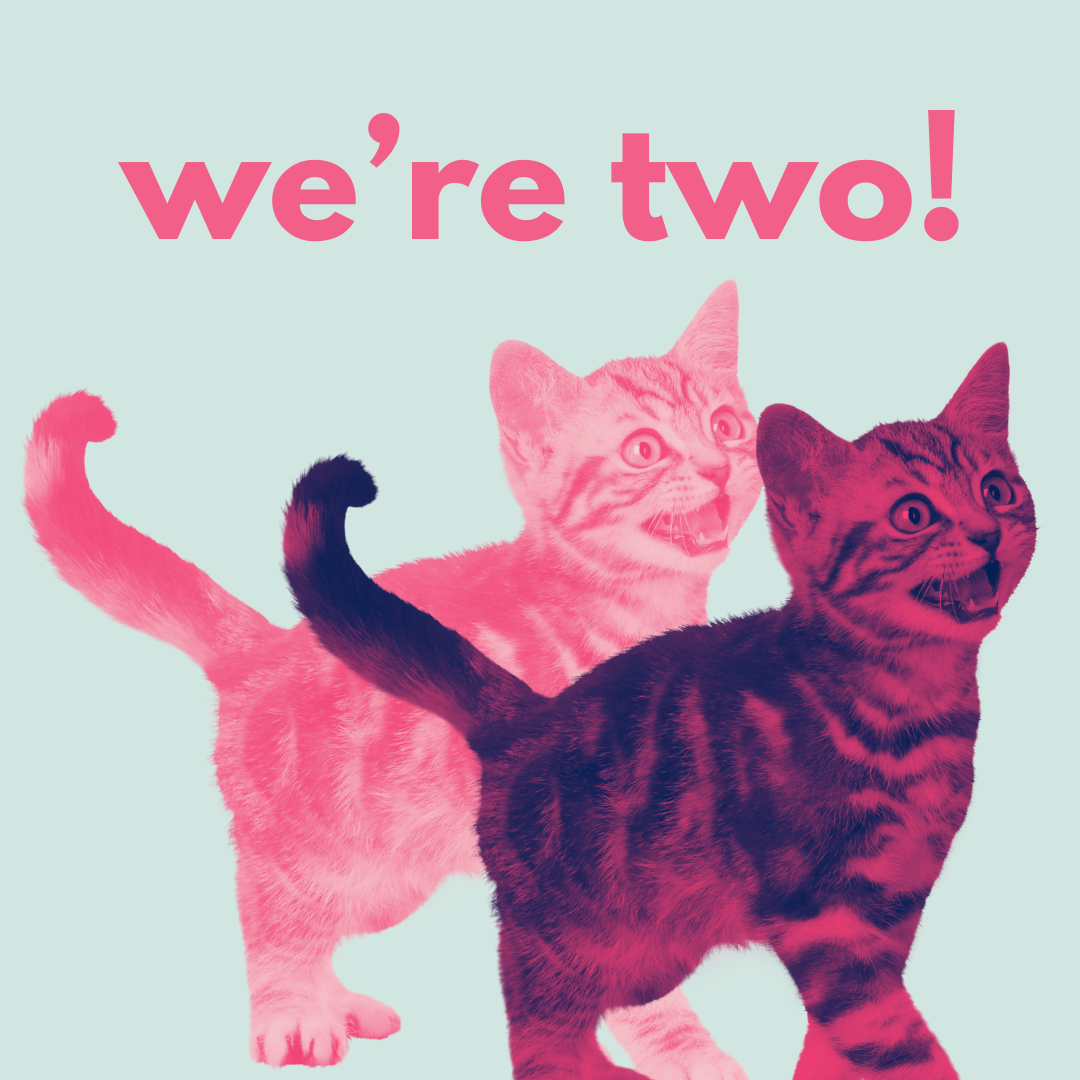 Good Cat Network is TWO YEARS OLD! - Good Cat Network