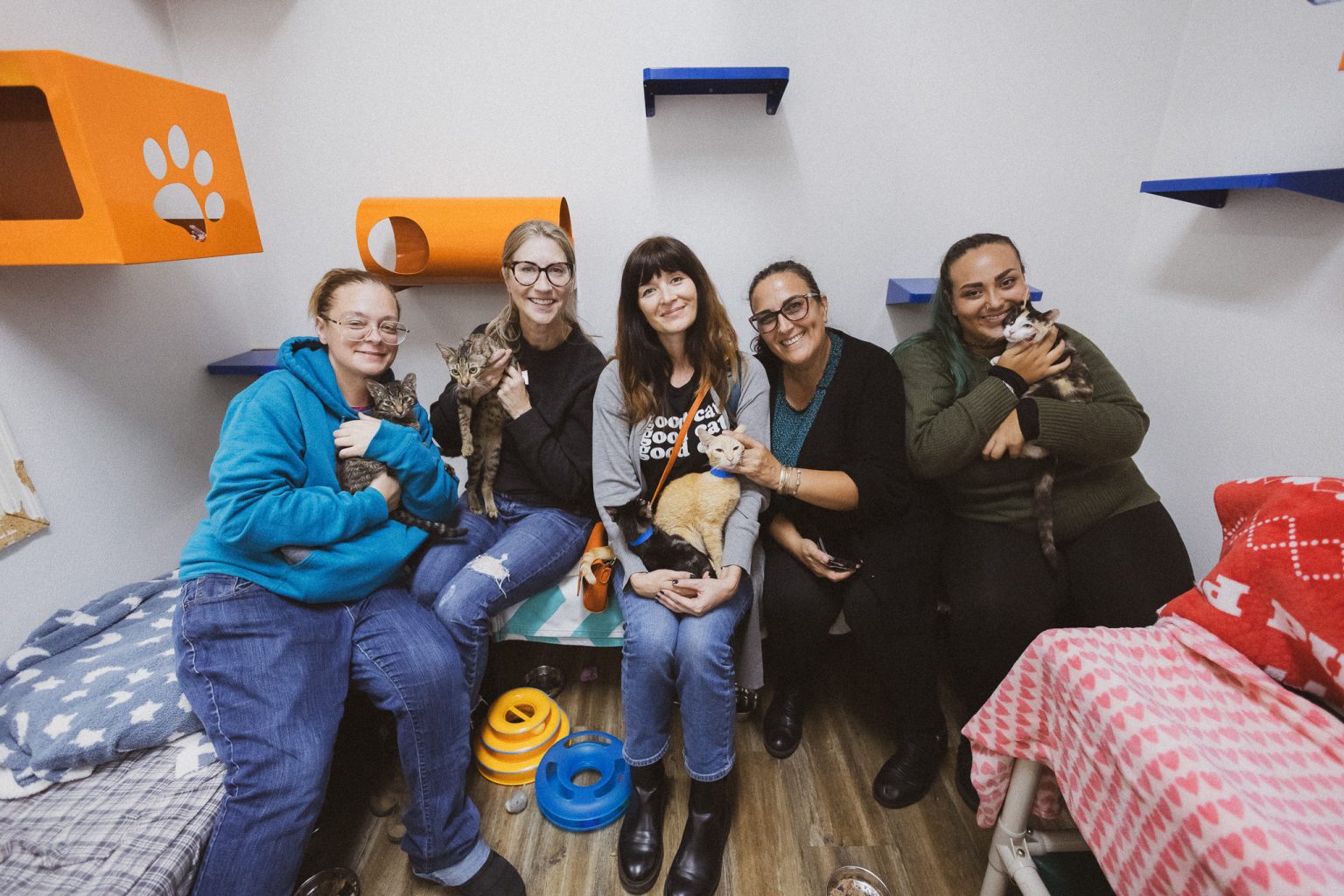 OFFICIAL PRESS RELEASE / Good Cat Network Awarded $50,000 from Neuhoff ...